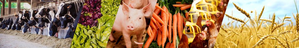 Biodevas Laboratoires Accueil > Biodevas Laboratoires - Expert ...