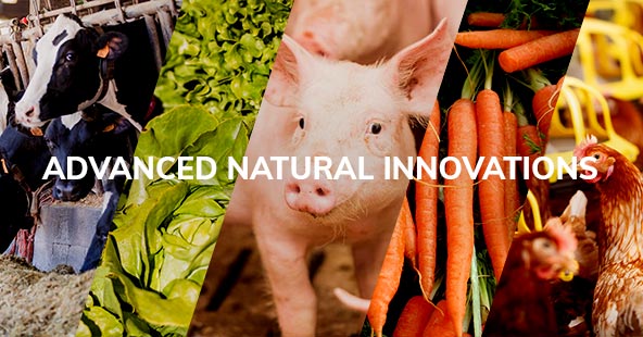 Biodevas Laboratoires Accueil > Biodevas Laboratoires - Expert ...